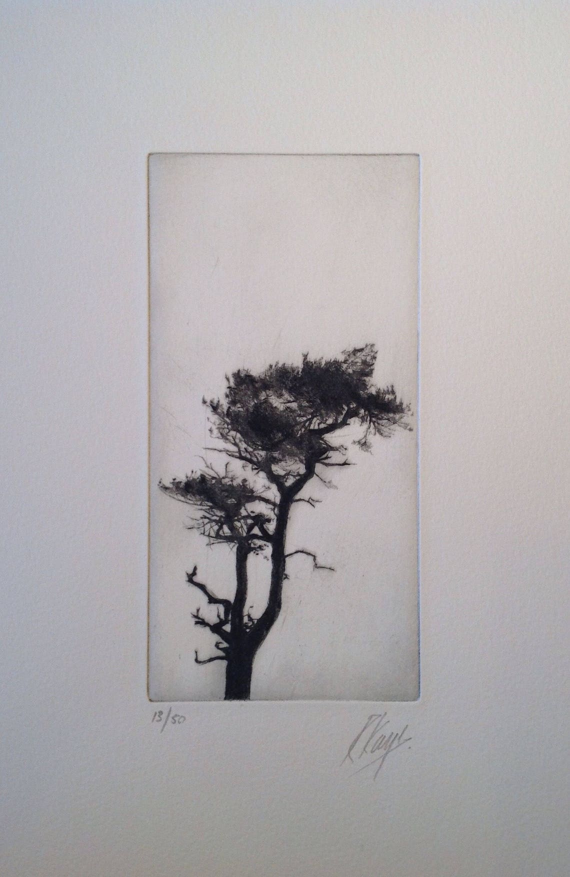 Tree 1 Tree Etching Tree Silhouette Tree Print - Etsy