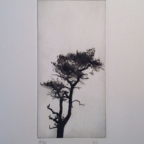 Tree 1 Tree Etching Tree Silhouette Tree Print | Etsy