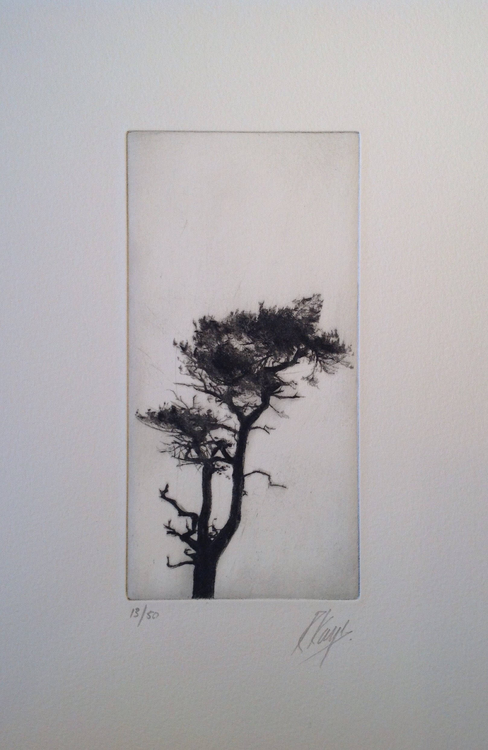 Tree 1 Tree Etching Tree Silhouette Tree Print - Etsy