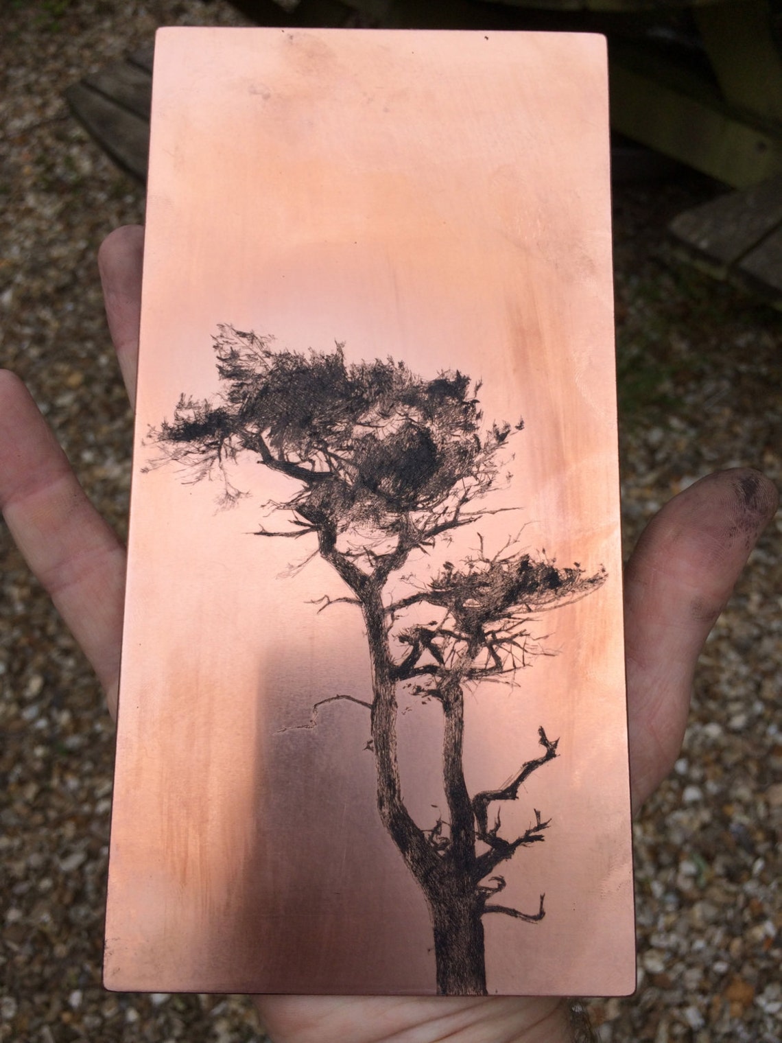 Tree 1 Tree Etching Tree Silhouette Tree Print - Etsy