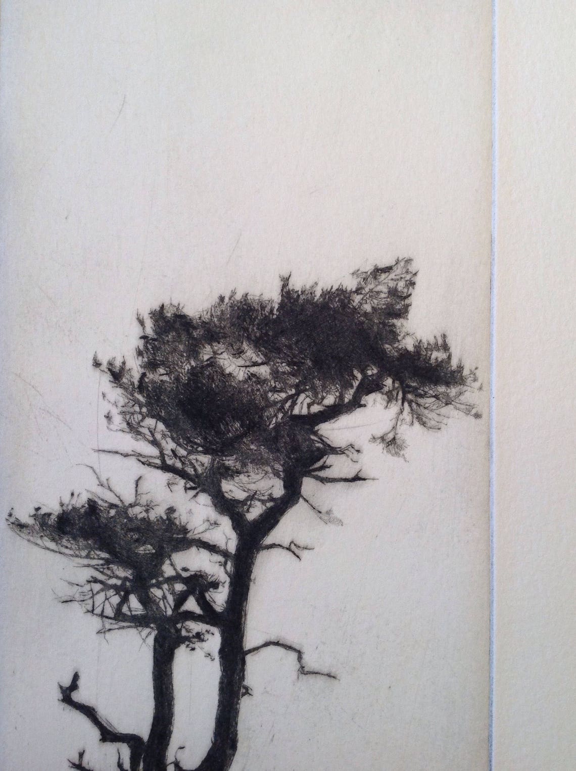 Tree 1 Tree Etching Tree Silhouette Tree Print - Etsy