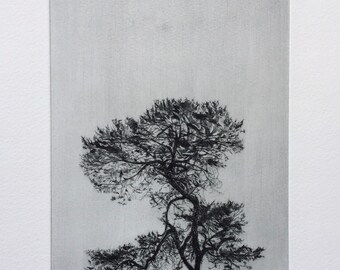 Drypoint Etching - Etsy