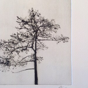 Tree Silhouette, A Drypoint Etching of a Tree - Etsy