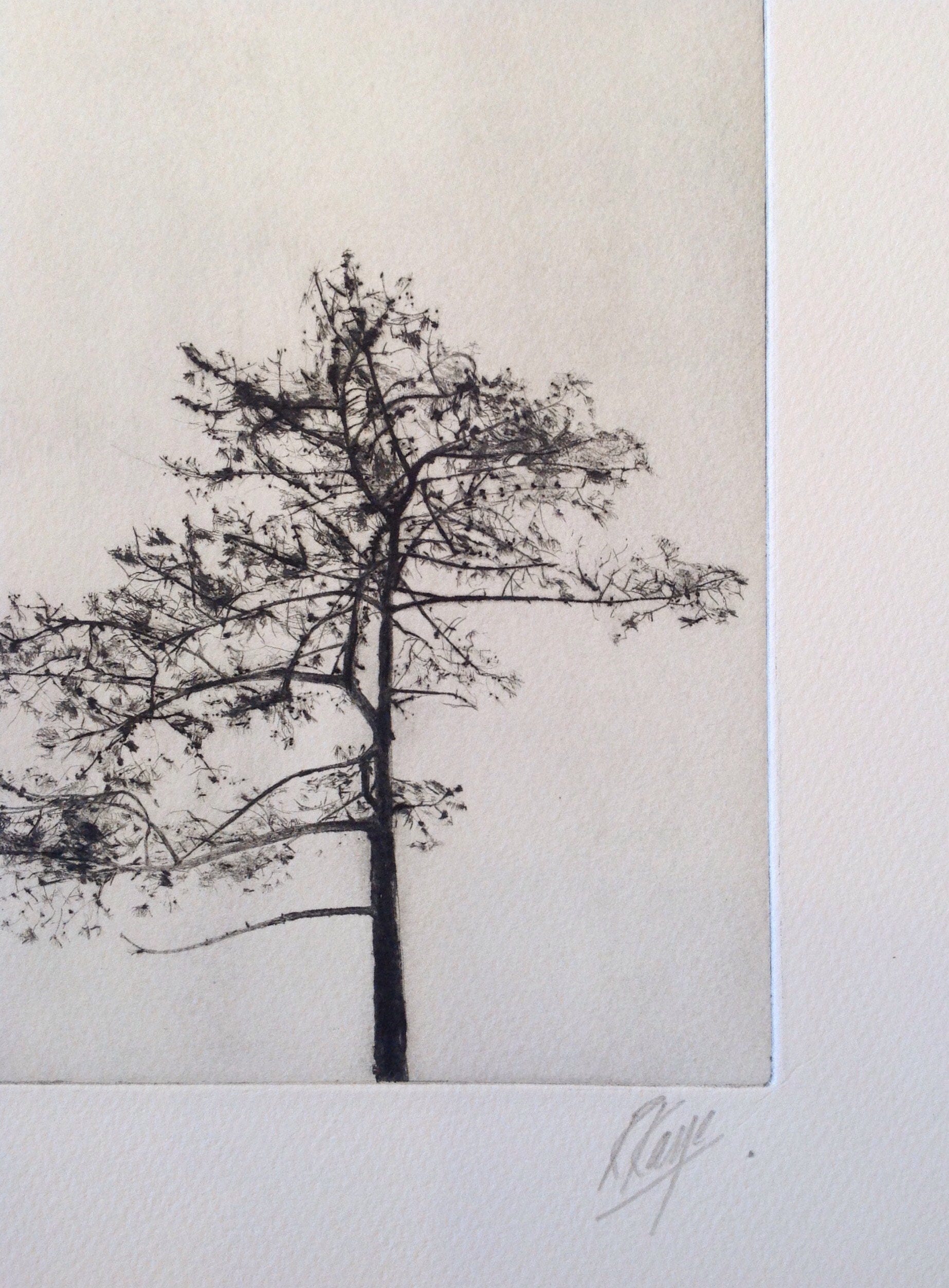 Tree Silhouette, A drypoint etching of a tree sold by Ian Hopkins | SKU ...