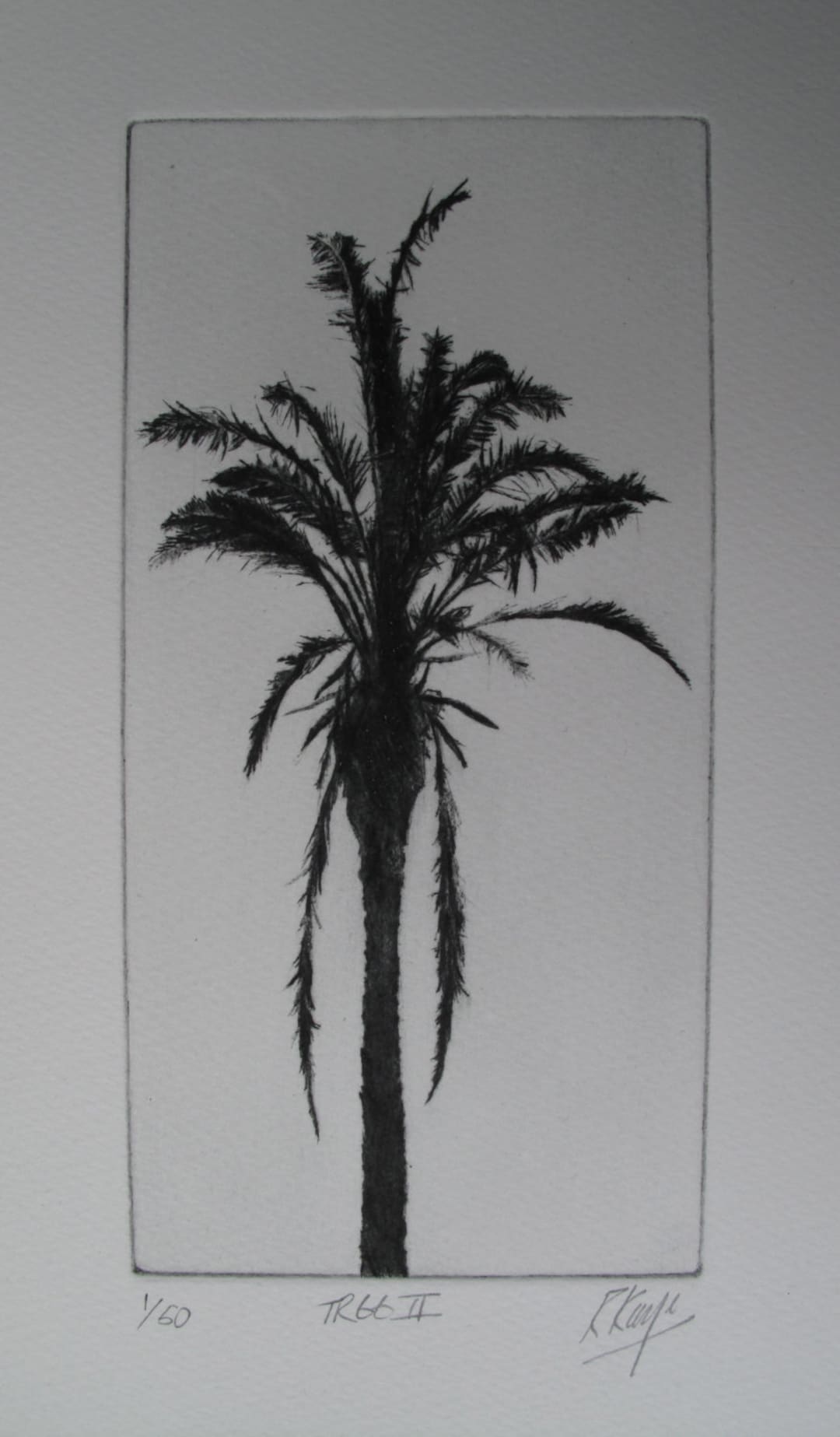 Palm Tree Print. Drypoint Etching - Etsy