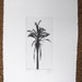 Palm Tree Print. Drypoint Etching - Etsy