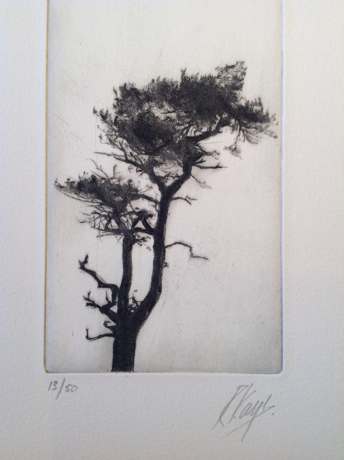 Tree 1 Tree Etching Tree Silhouette Tree Print - Etsy