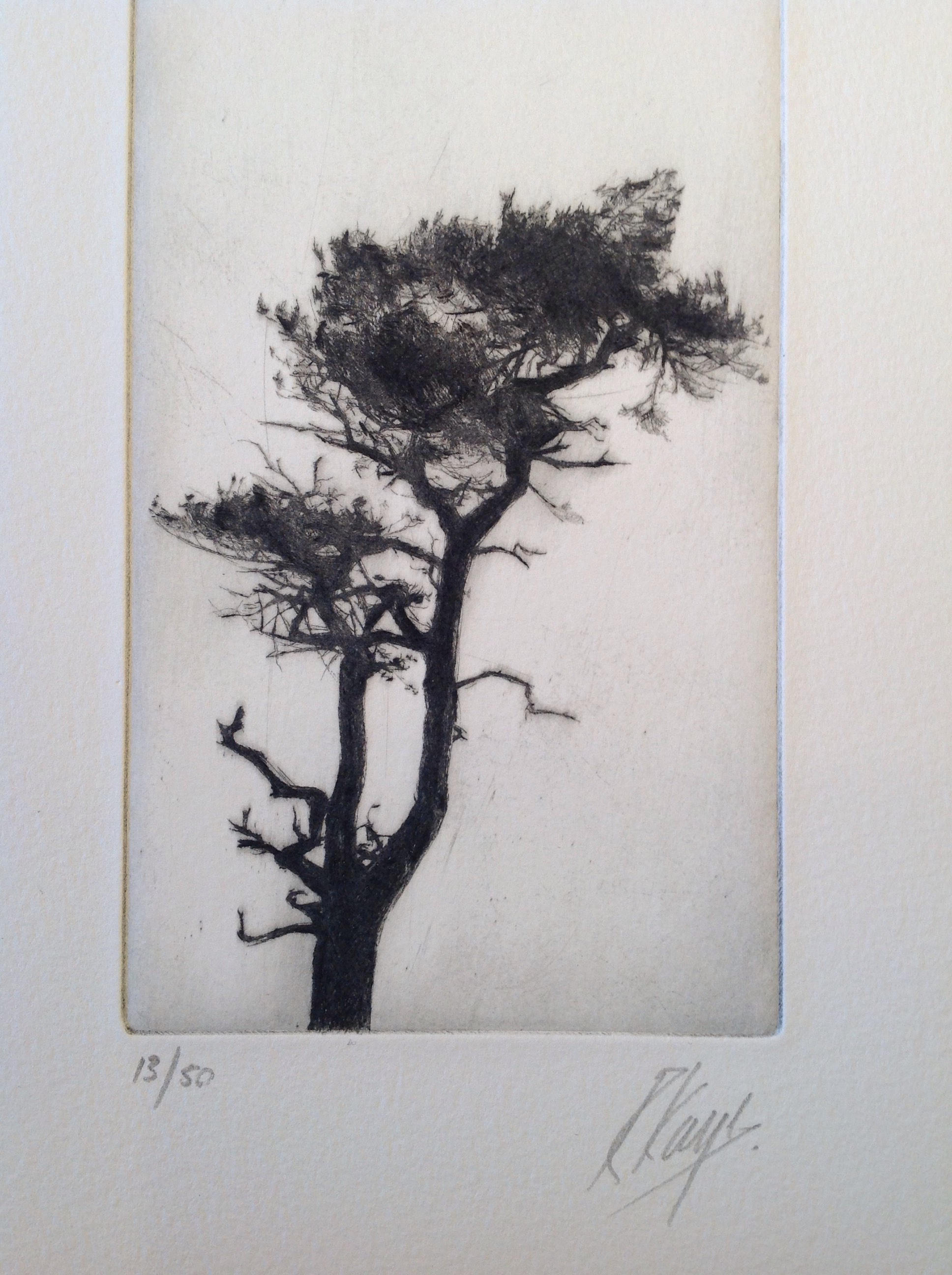 Tree 1 Tree Etching Tree Silhouette Tree Print - Etsy