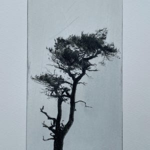 Hand Etched Tree Print – Japanese Style Silhouette - Etsy