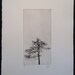 Tree Silhouette, A Drypoint Etching of a Tree - Etsy