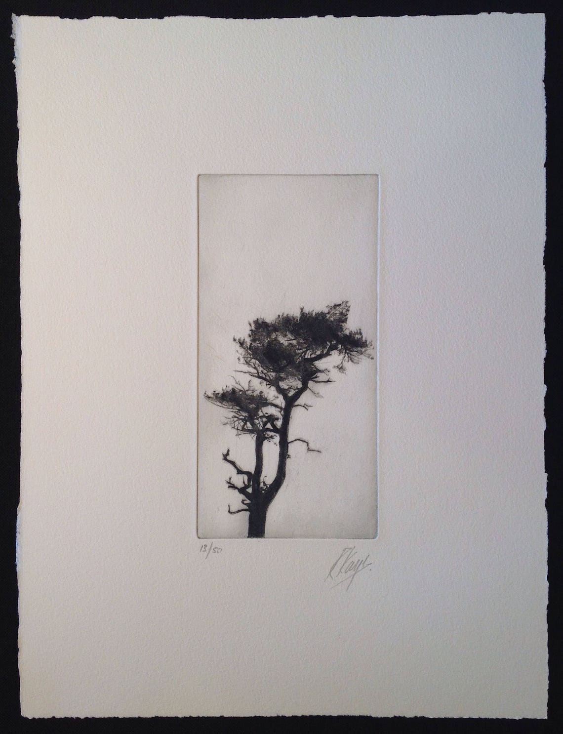 Tree 1 Tree Etching Tree Silhouette Tree Print - Etsy