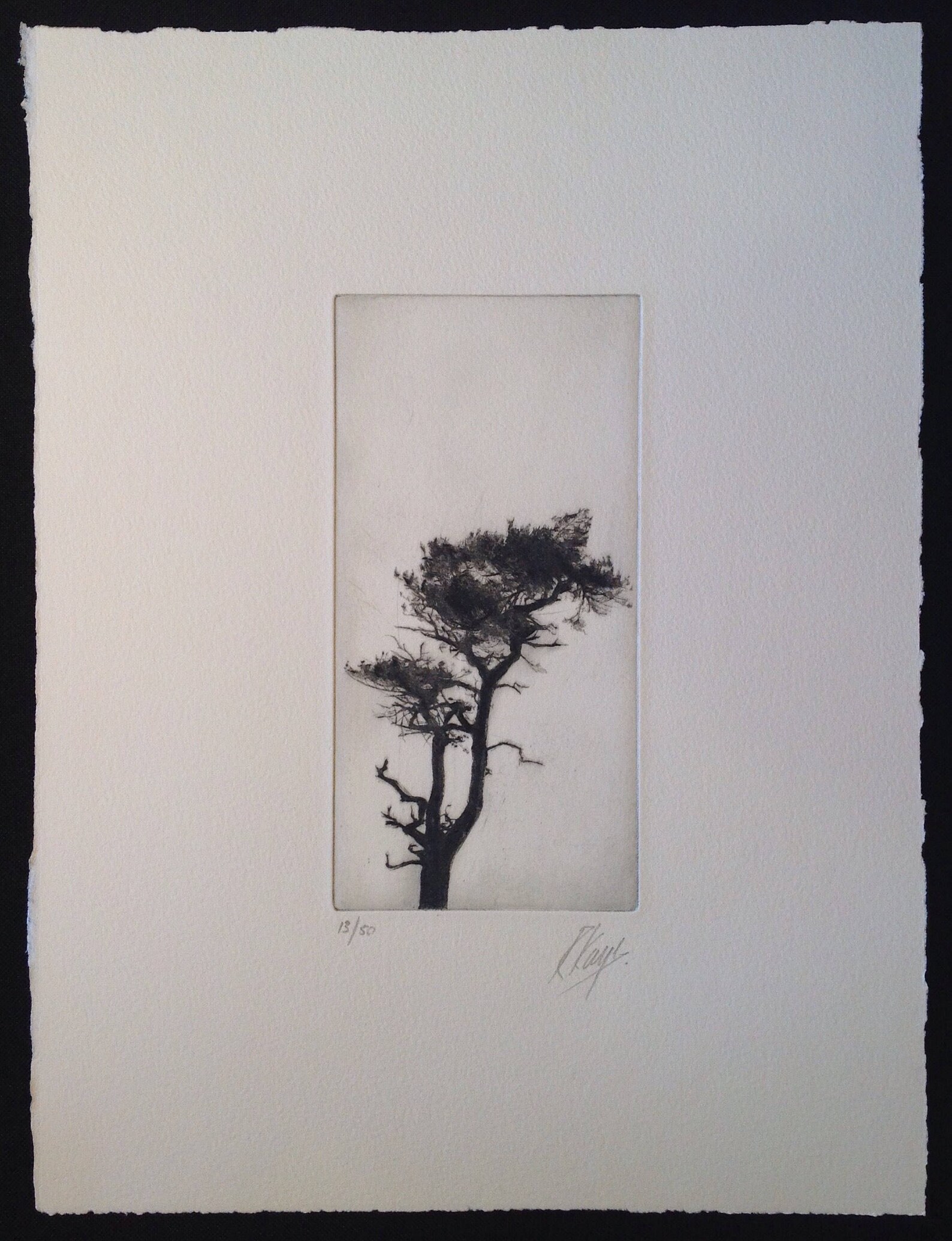 Tree 1 Tree Etching Tree Silhouette Tree Print - Etsy