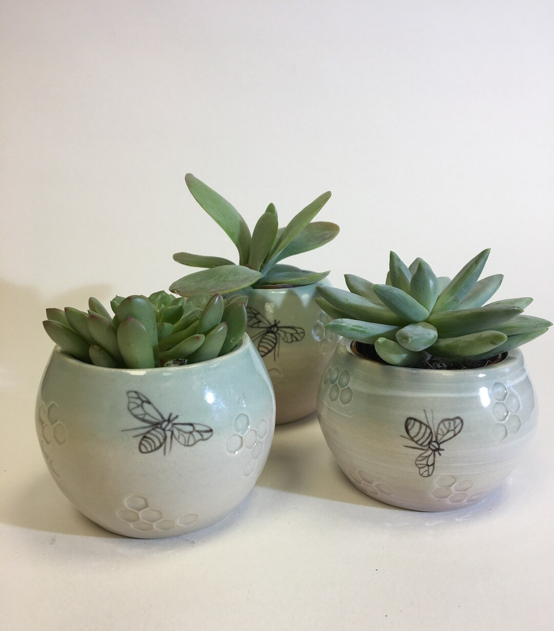 Bee Succulent Planter - Etsy