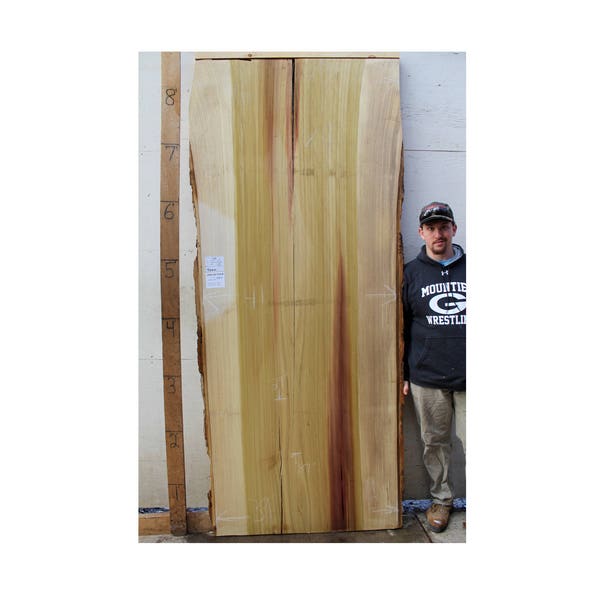 Rainbow Poplar - Etsy