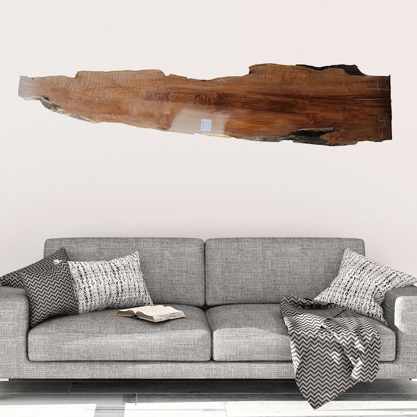 Tree Slab - Etsy