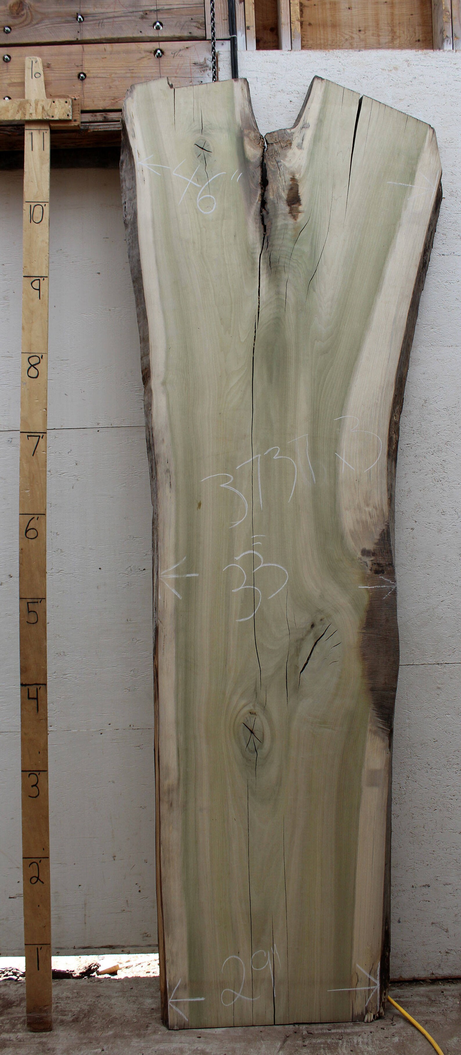 Tulip Poplar Natural Live Edge Wood Slab Tabletop Wide Board - Etsy