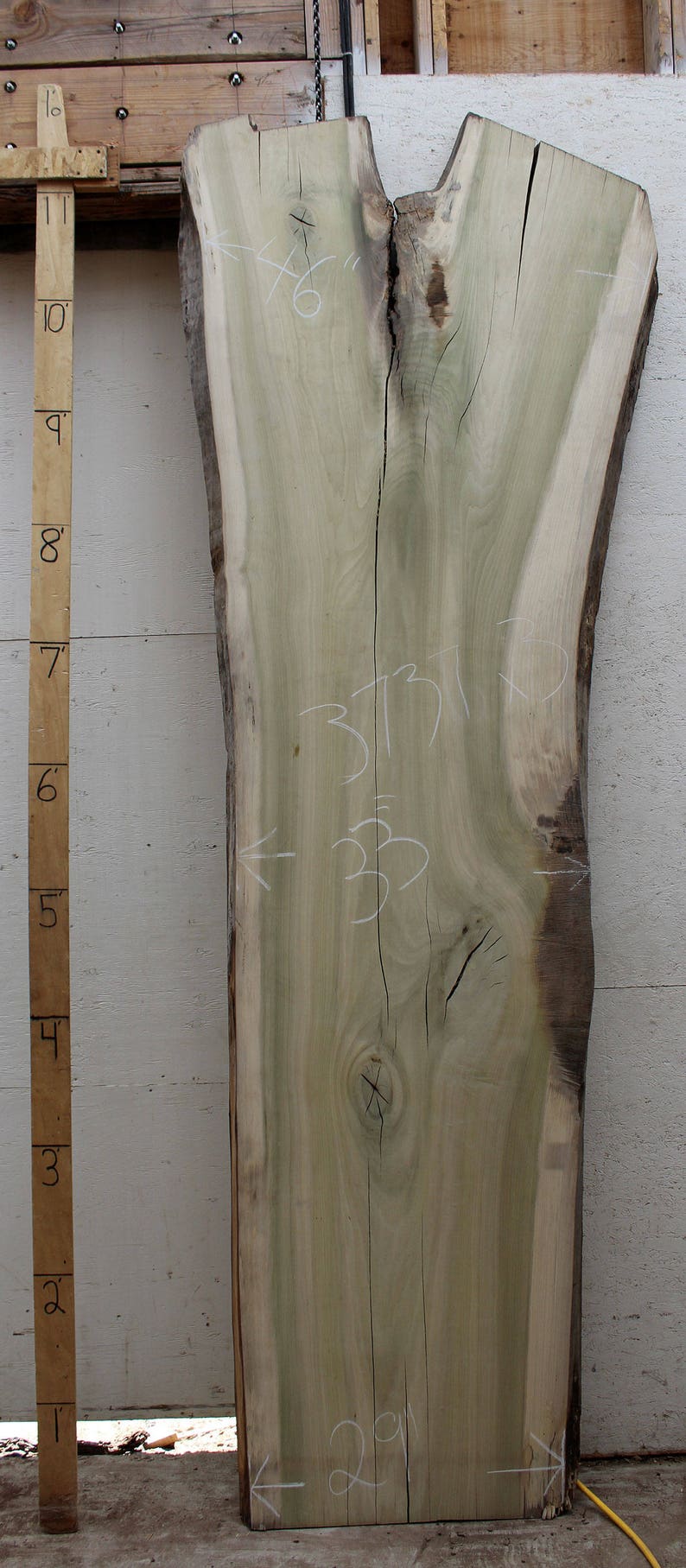 Tulip Poplar Natural Live Edge Wood Slab Tabletop Wide Board - Etsy