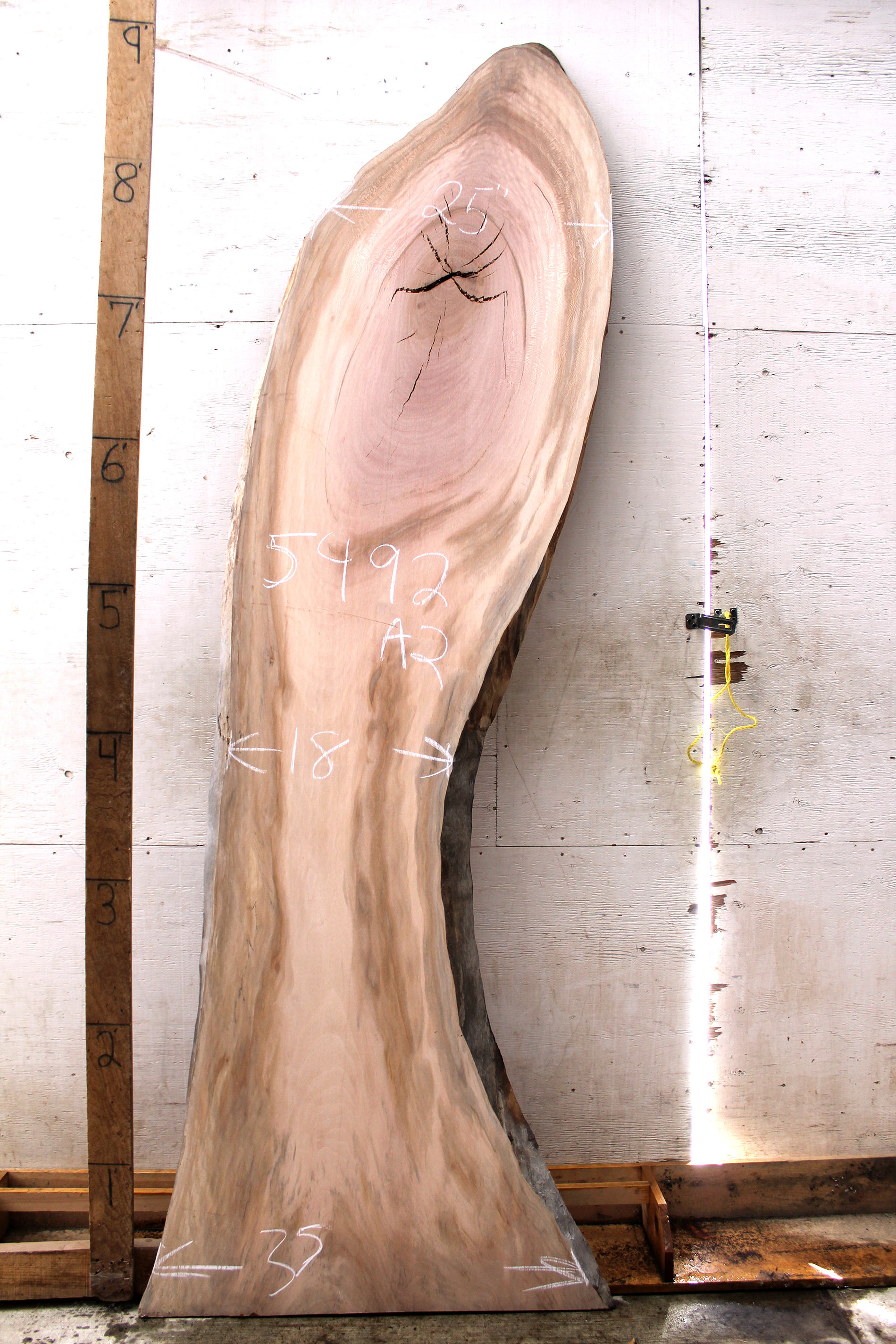 Live Natural Edge Wood Slab Bartop Countertop California Sycamore Raw ...