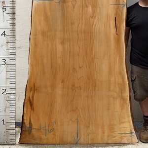 Maple Slab Live Edge Kitchen Table Top Natural Raw Wood Dining Tabletop ...