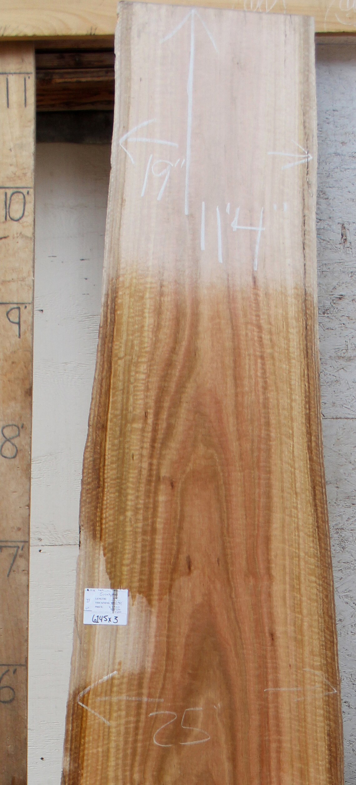 Live Natural Edge Bar Top Tasmanian Blue Gum Raw Wood Slab Rustic DIY ...