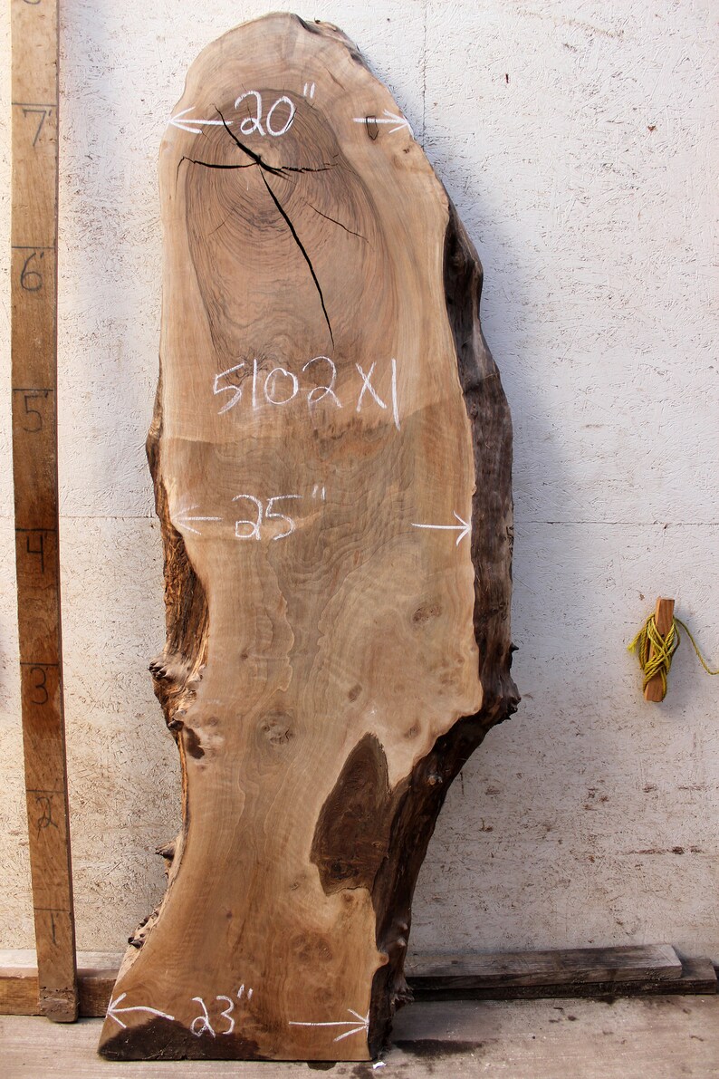 Natural Walnut Wood Slab Live Edge Headboard Custom Tree Slice DIY ...