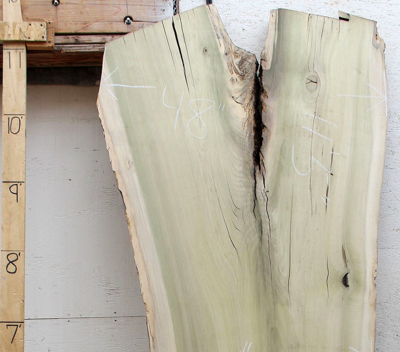 Tulip Poplar Natural Live Edge Wood Slab Tabletop Wide Board - Etsy