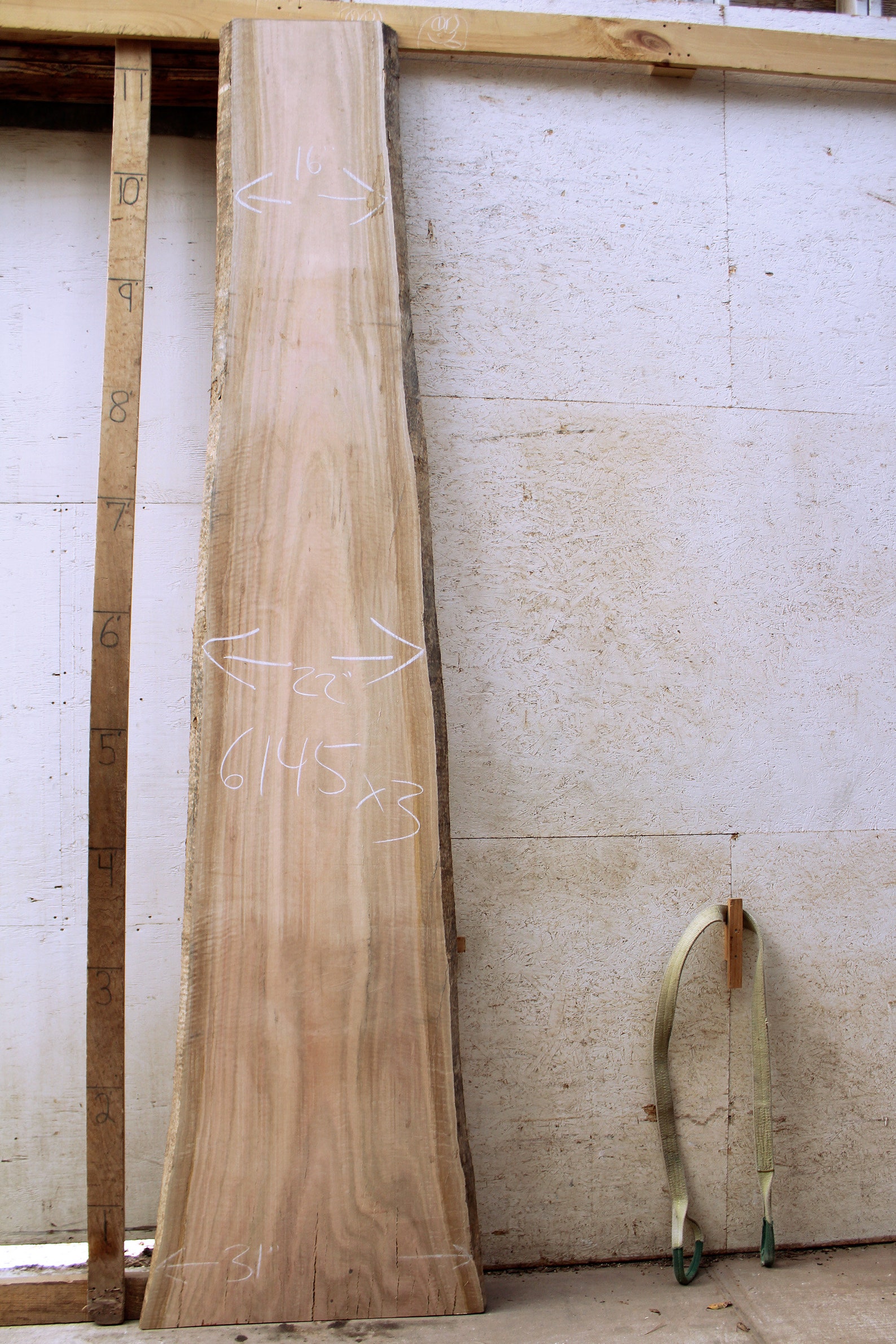 Live Natural Edge Bar Top Tasmanian Blue Gum Raw Wood Slab Rustic DIY ...