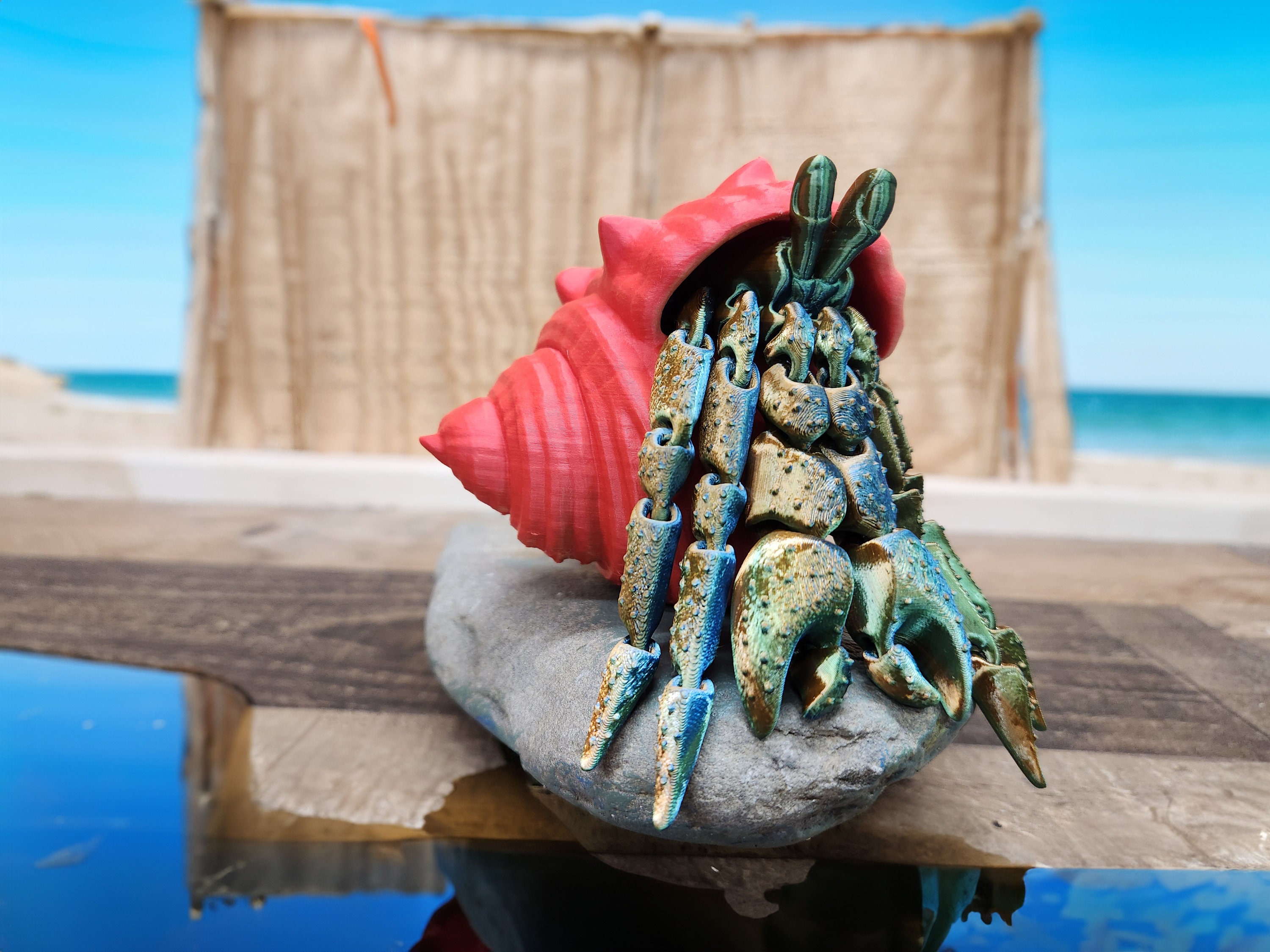 Hermit Crab and Shell 3D Printed Fidget Toy Hermit Crab Fidget 3D ...