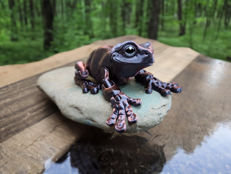 White's Tree Fog 3D Printed Fidget Toy Frog Fidget 3D - Etsy