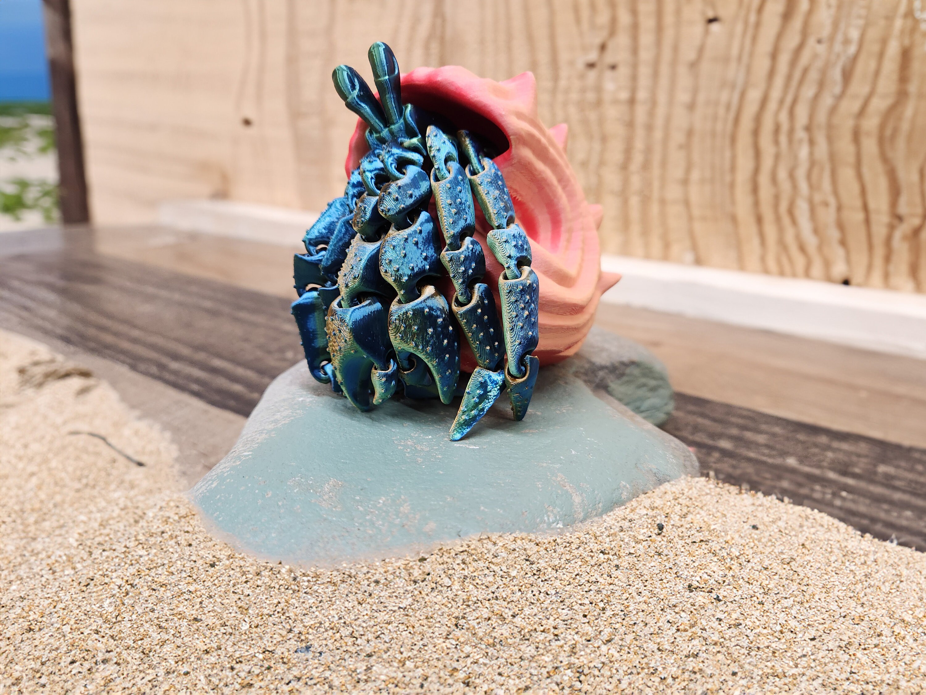 Hermit Crab and Shell 3D Printed Fidget Toy Hermit Crab Fidget 3D ...