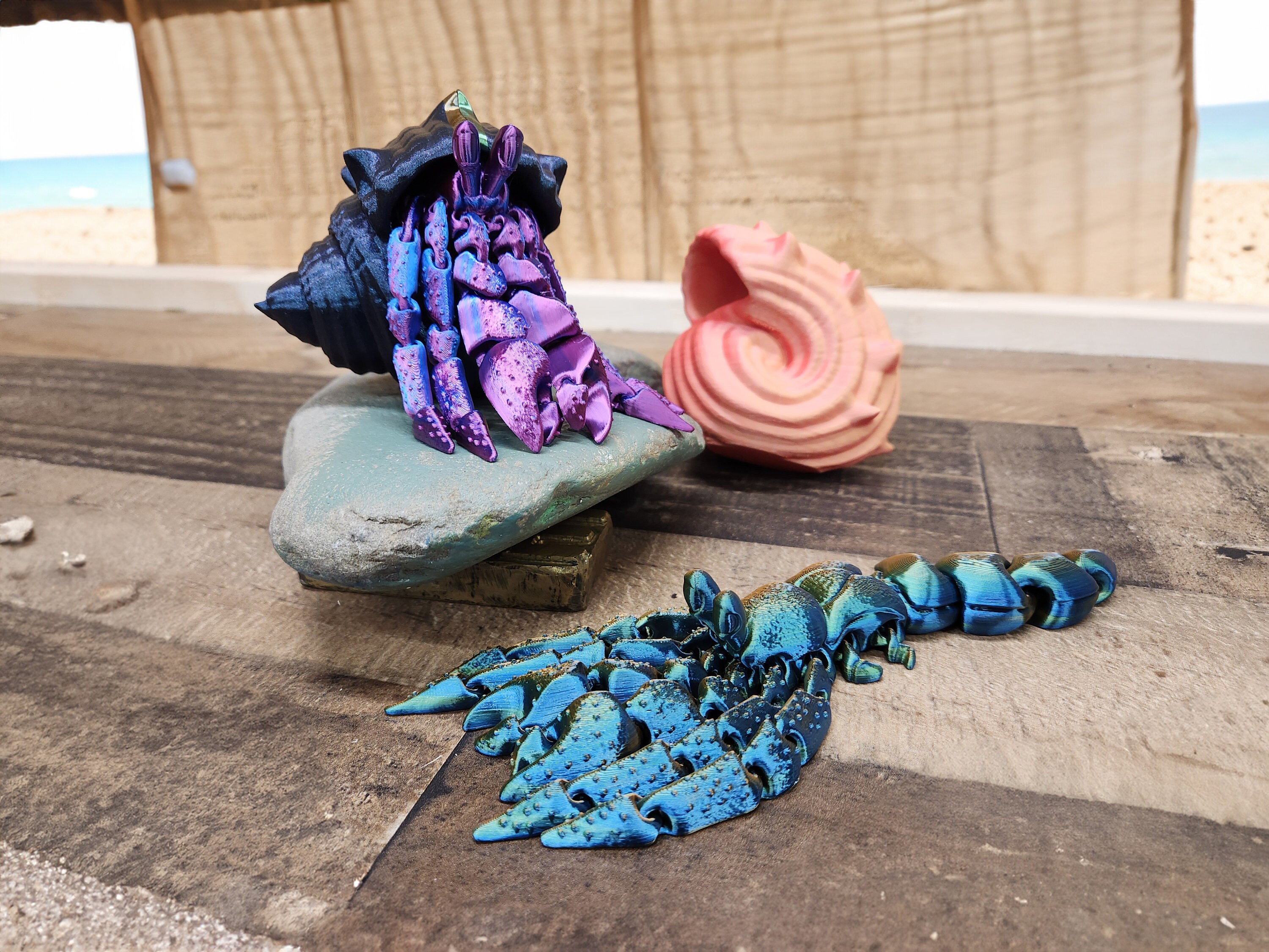 Hermit Crab and Shell 3D Printed Fidget Toy Hermit Crab Fidget 3D ...