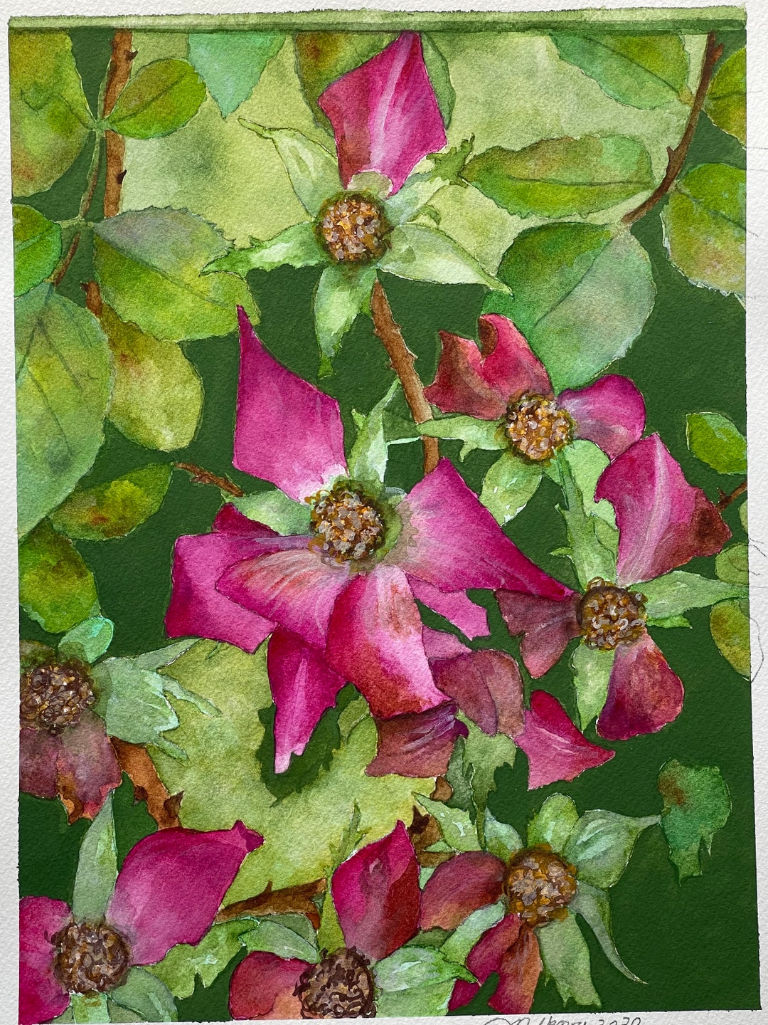 Fading Roses Watercolor, Floral Rose Artwork, Floral Rose Watercolor ...