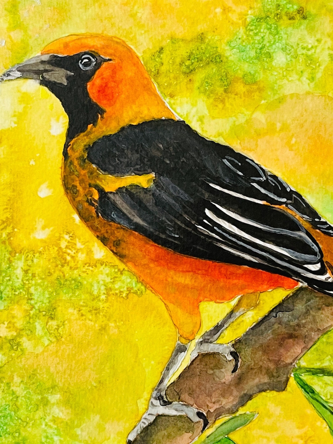 Oriole Bird Artwork, Bird Original Watercolor. Yellow Bird Artwork ...