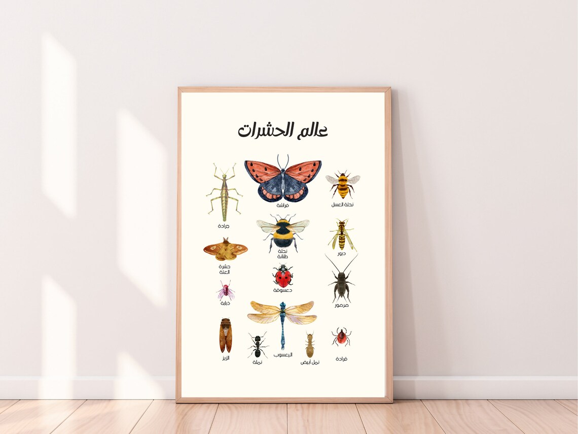 Arabic Educational Poster of Insects, Montessori Wallart and Flashcards ...