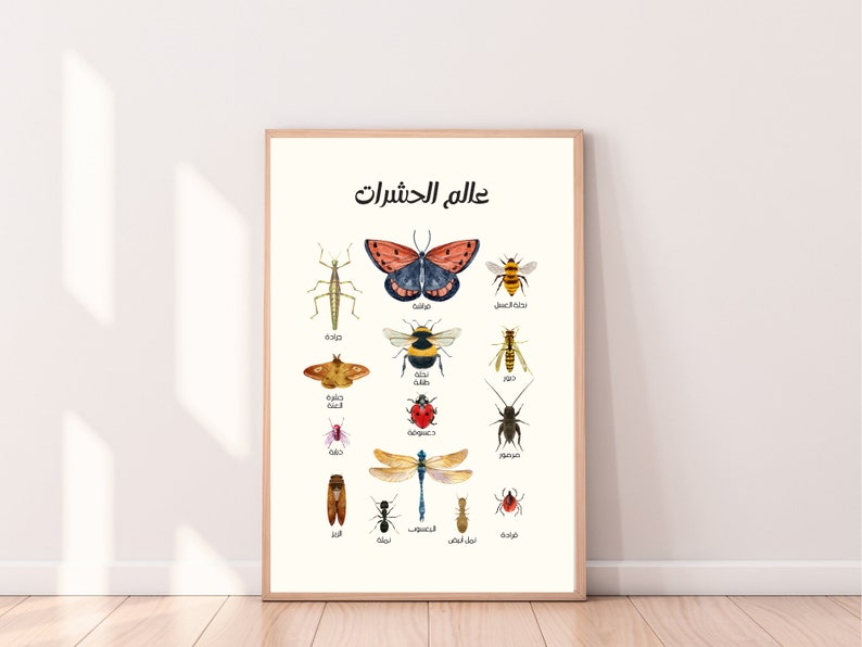 Arabic Educational Poster of Insects, Montessori Wallart and Flashcards ...