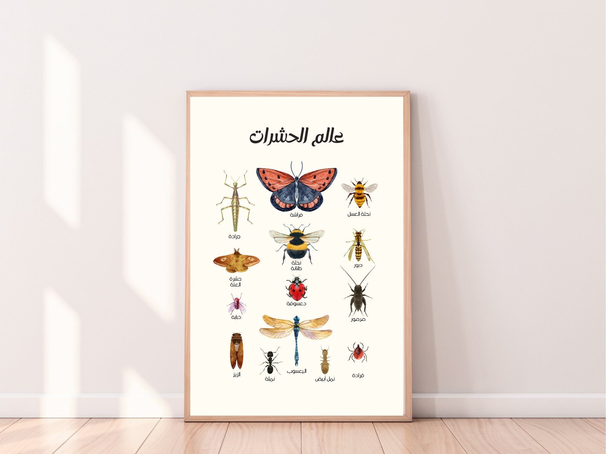 Arabic Educational Poster of Insects, Montessori Wallart and Flashcards ...