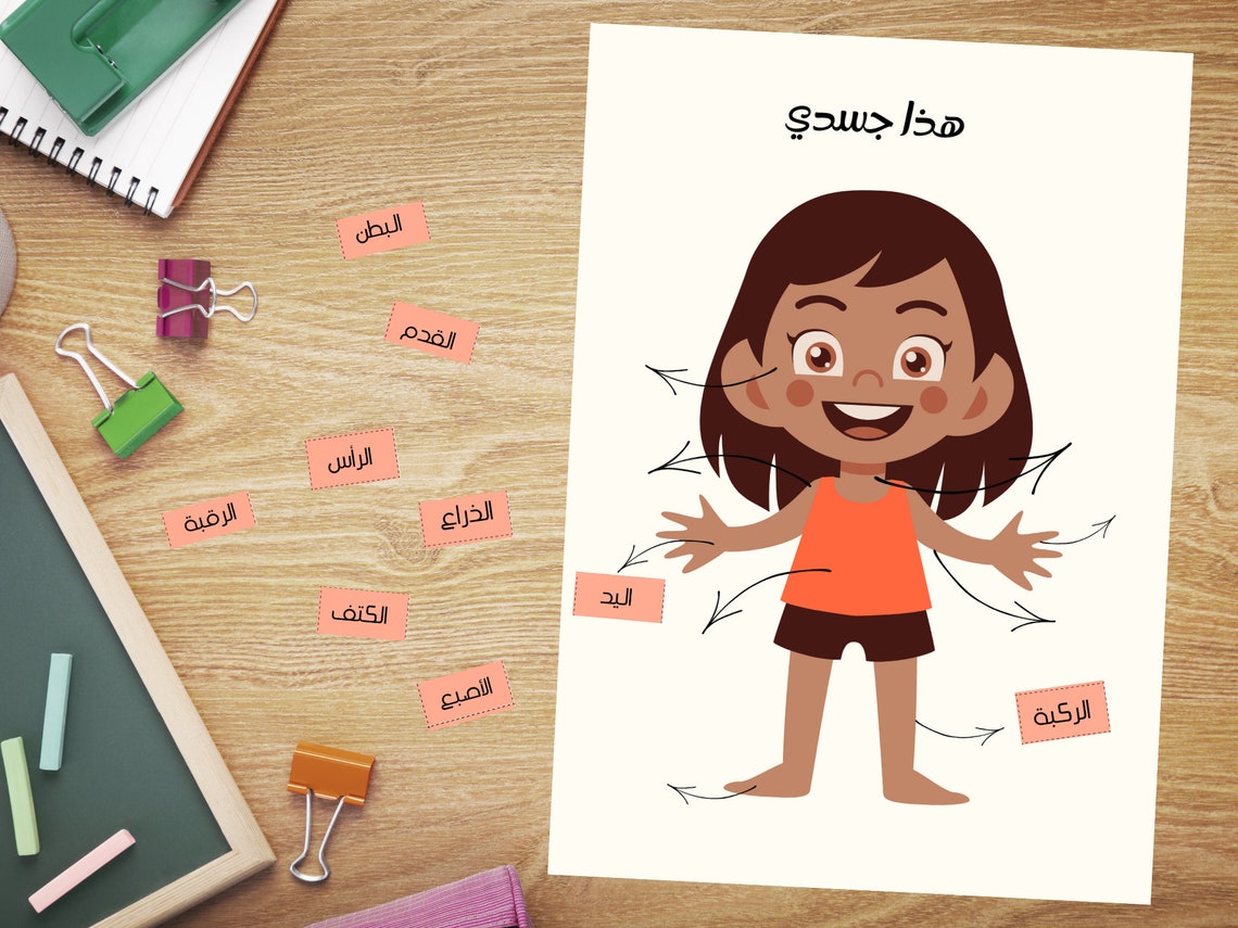 Arabic Human Anatomy for Kids, Body Parts and Organs - Etsy
