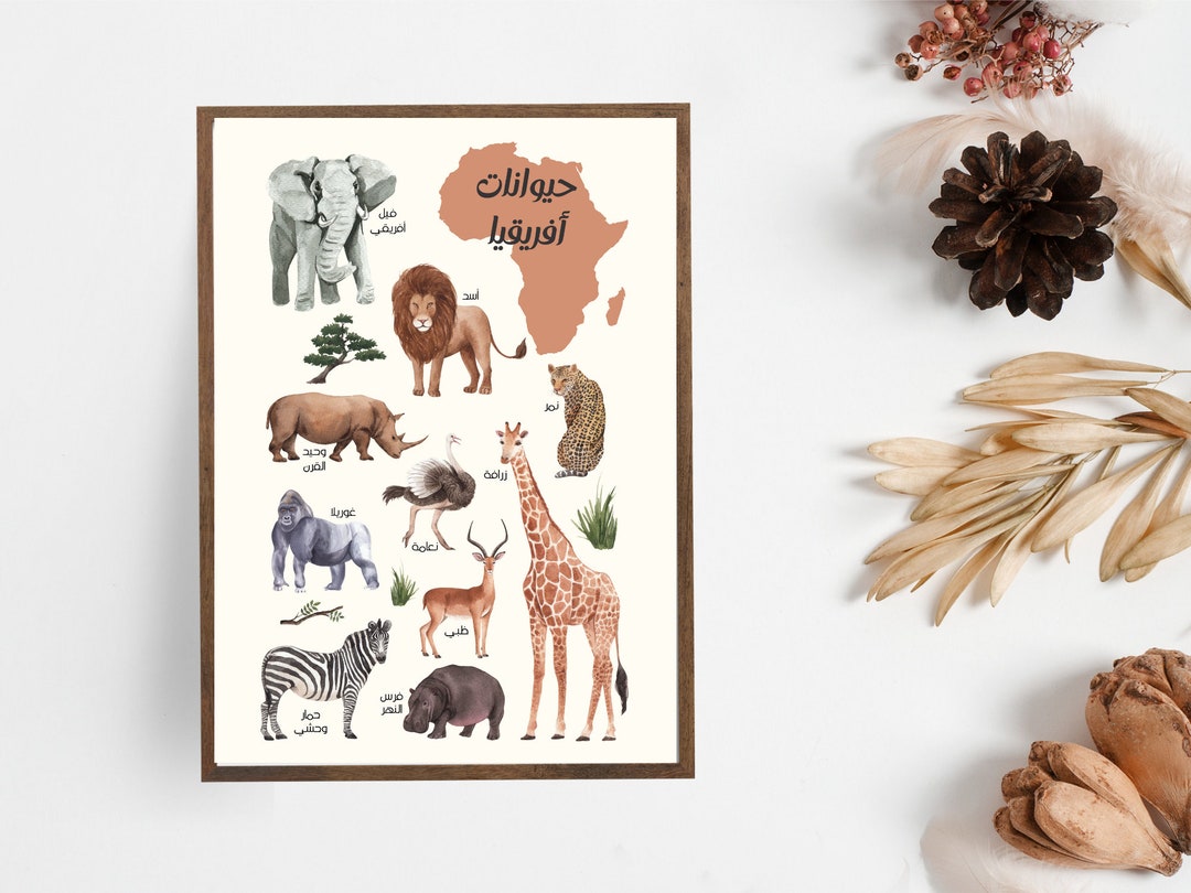 African Animals Poster in Arabic, Arabic Printables, Montessori - Etsy