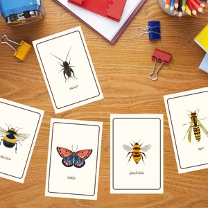 Arabic Educational Poster of Insects, Montessori Wallart and Flashcards ...