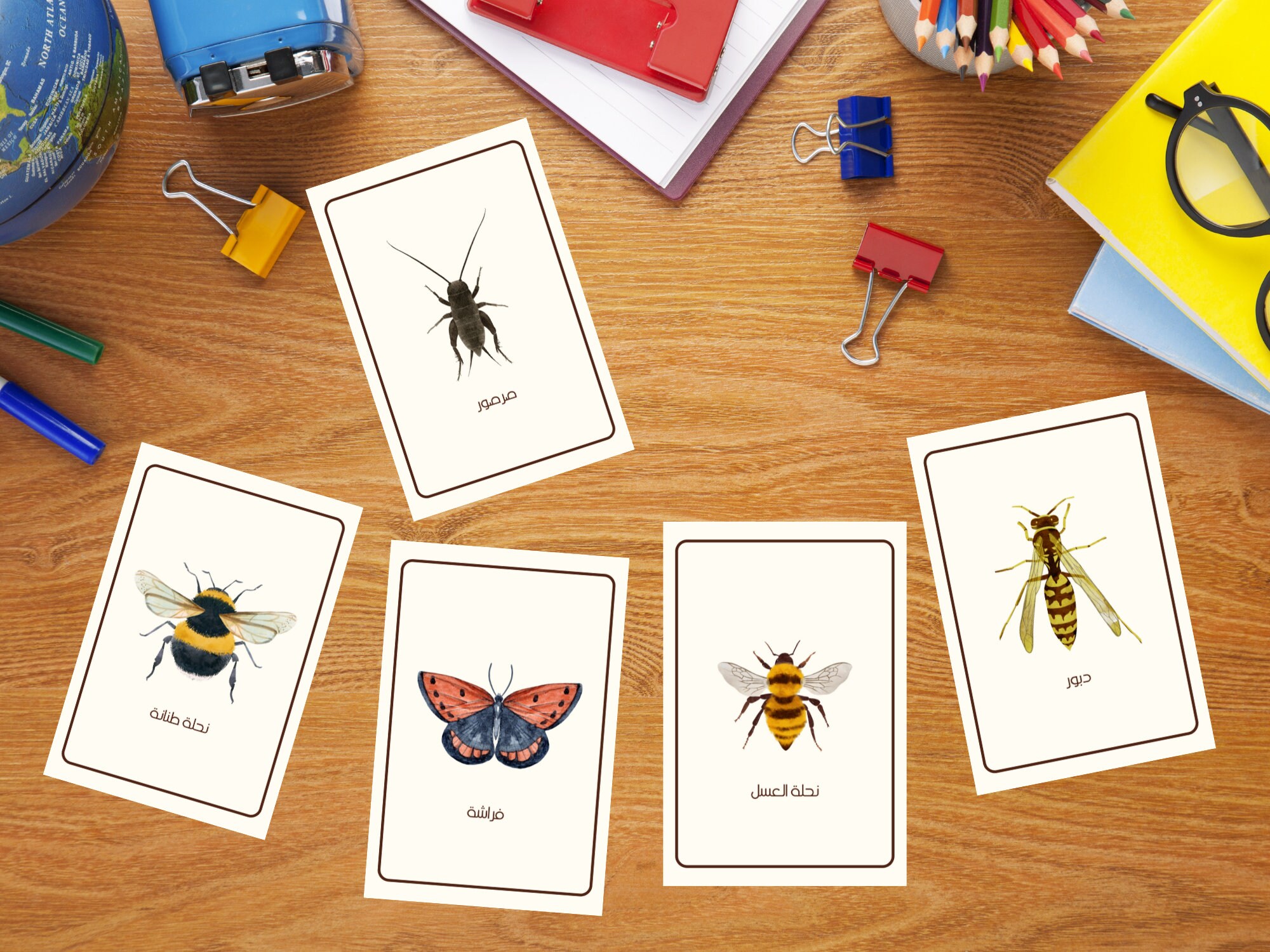 Arabic Educational Poster of Insects, Montessori Wallart and Flashcards ...