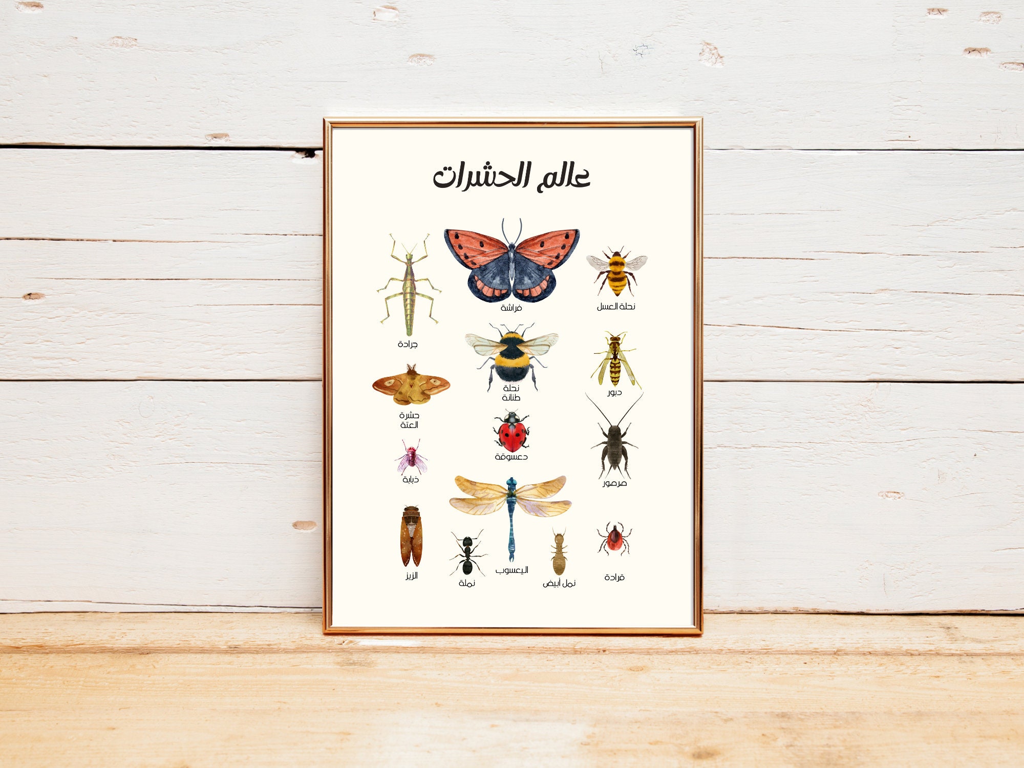 Arabic Educational Poster of Insects, Montessori Wallart and Flashcards ...