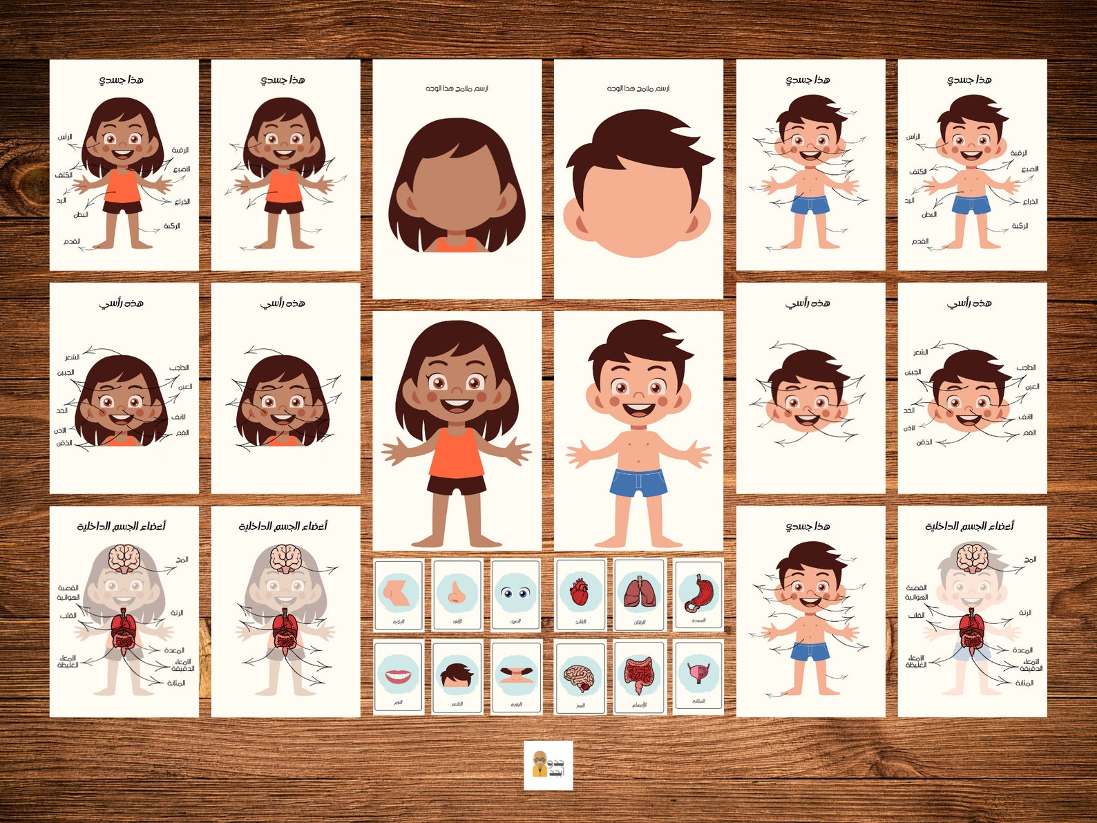 Arabic Human Anatomy for Kids, Body Parts and Organs - Etsy