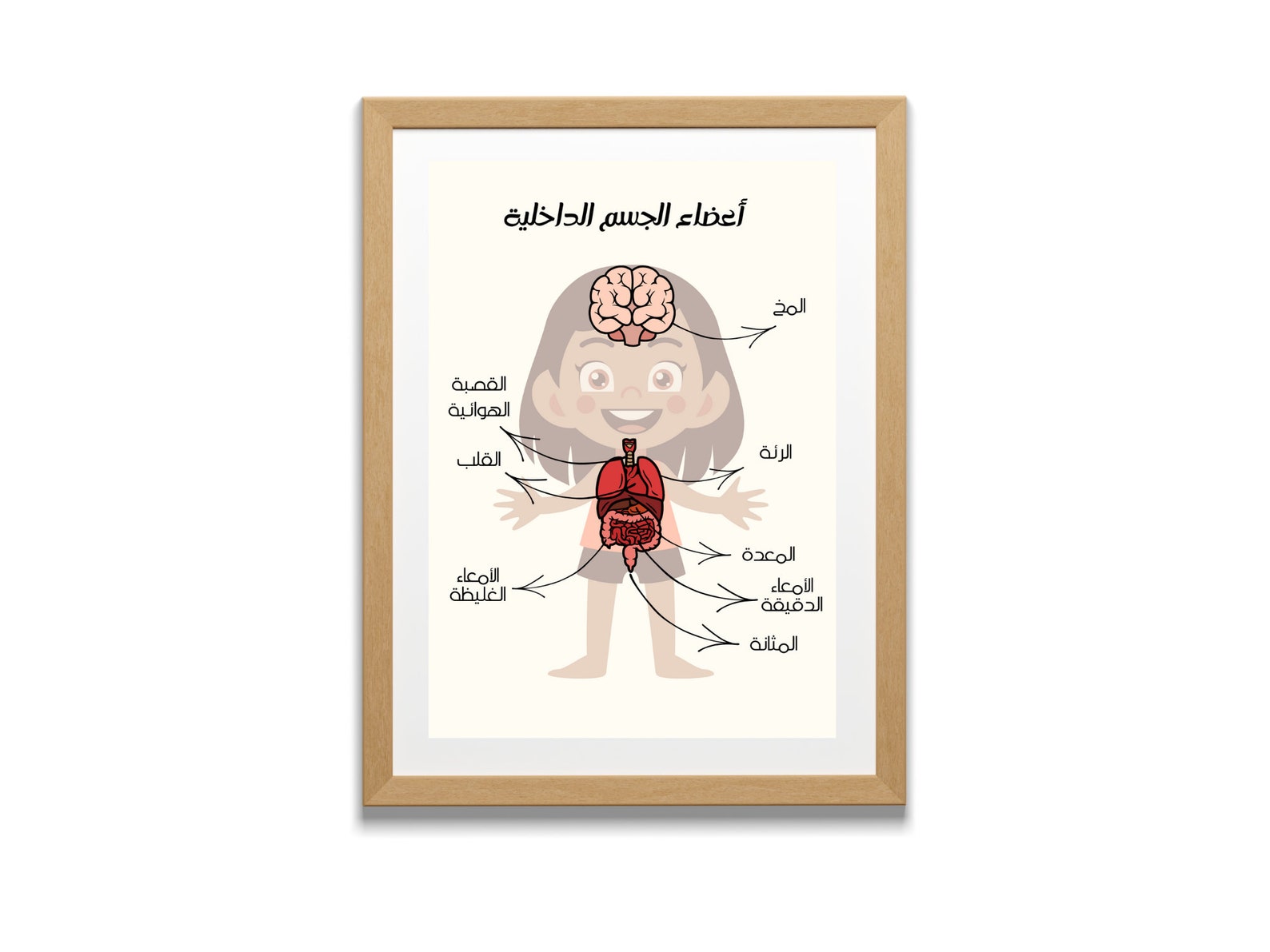 Arabic Human Anatomy for Kids, Body Parts and Organs - Etsy