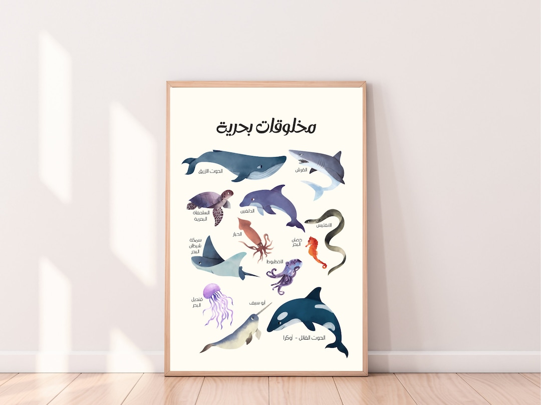 Arabic Sea Creatures Poster, Ocean Animals Wall-art - Etsy