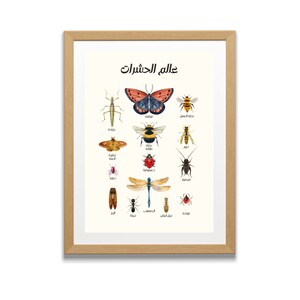Arabic Educational Poster of Insects, Montessori Wallart and Flashcards ...