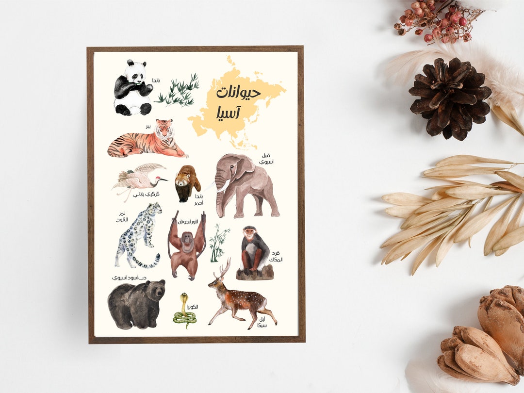 Asian Animals Poster in Arabic, Montessori Wallart - Etsy