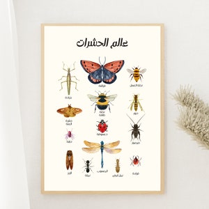 Arabic Educational Poster of Insects, Montessori Wallart and Flashcards ...