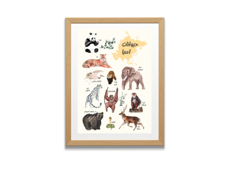 Asian Animals Poster in Arabic, Montessori Wallart - Etsy