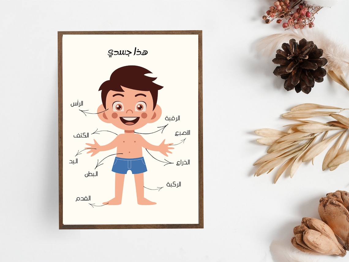 Arabic Human Anatomy for Kids Body Parts and Organs - Etsy