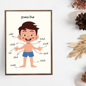 Arabic Human Anatomy for Kids, Body Parts and Organs - Etsy